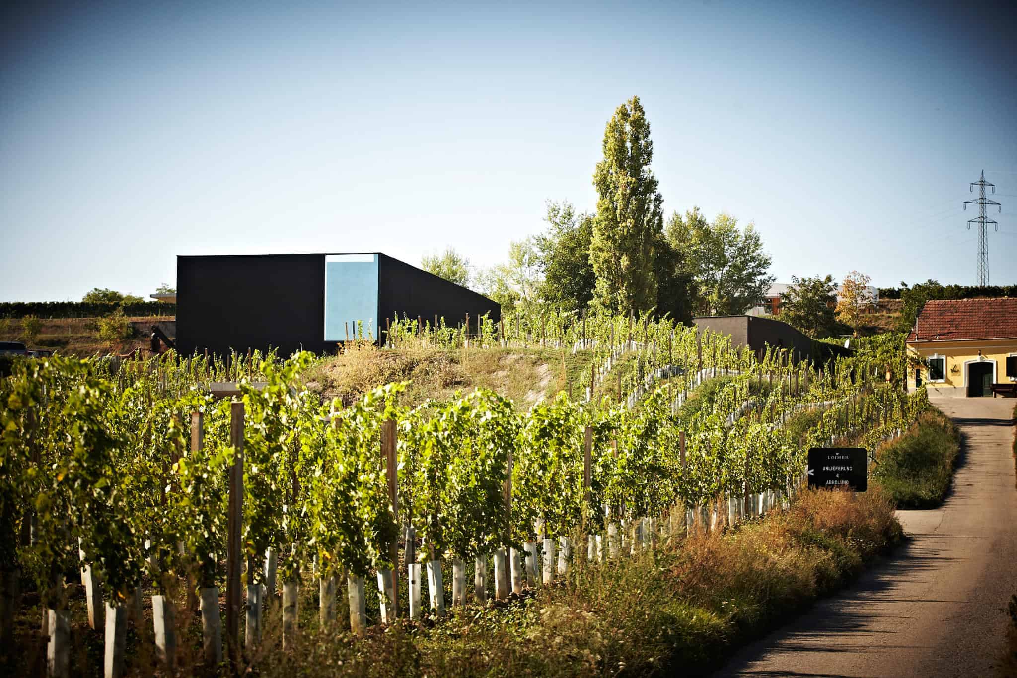 Loimer – GrapeTimes – GREAT WINES; GREAT TIMES – Wineshop