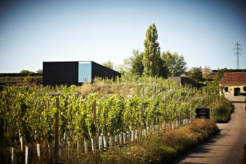 Loimer – GrapeTimes – GREAT WINES; GREAT TIMES – Wine shop